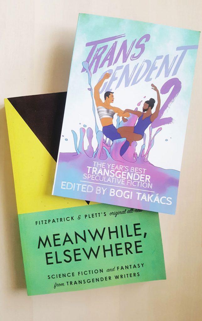 Meanwhile, Elsewhere & Transcendent 2 – CYBORG MEMOIRS